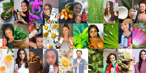 Shiny Leaf Rewards - Shine beautifully with points, perks, & presents